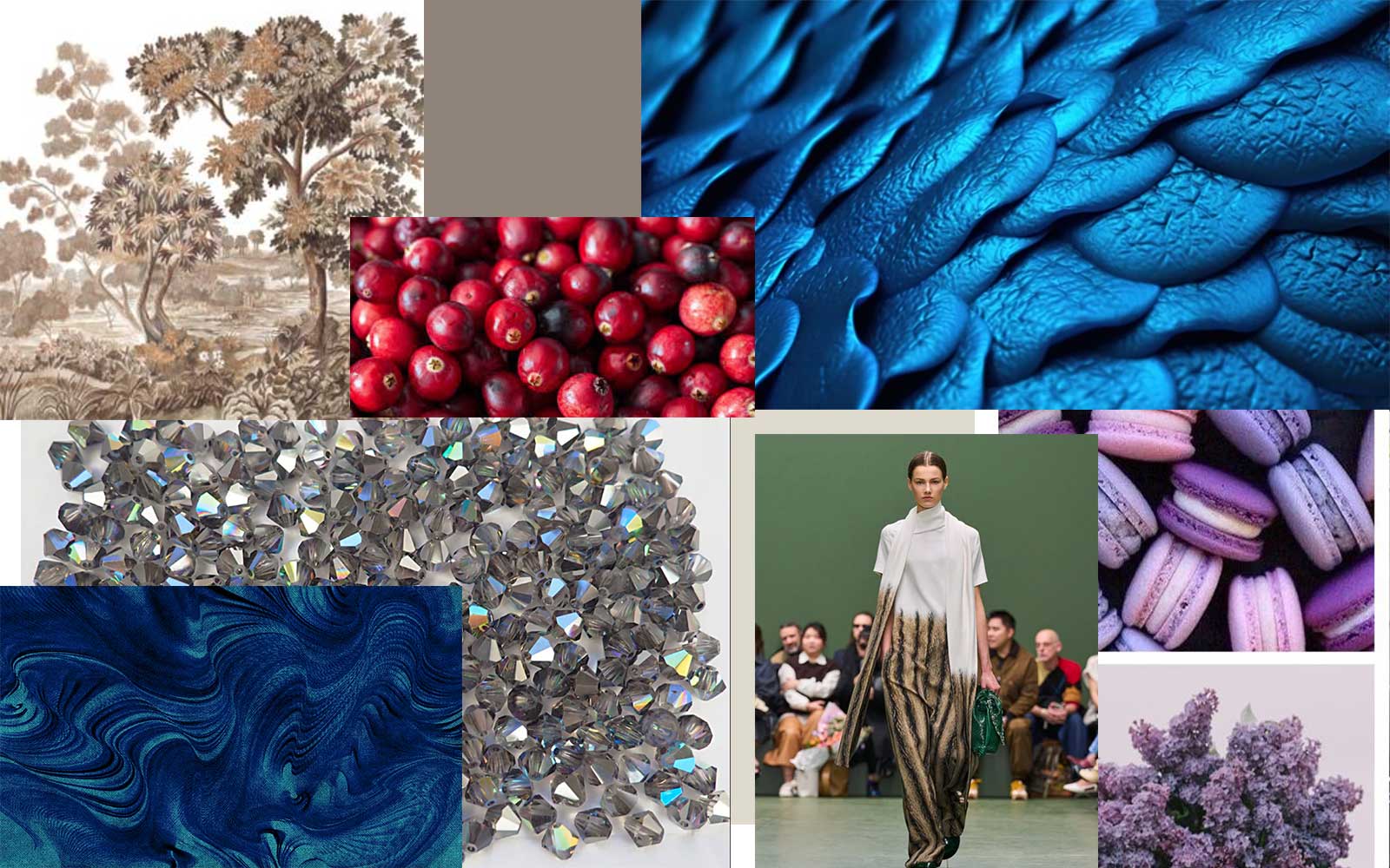 Tendencias de Color FW24-25